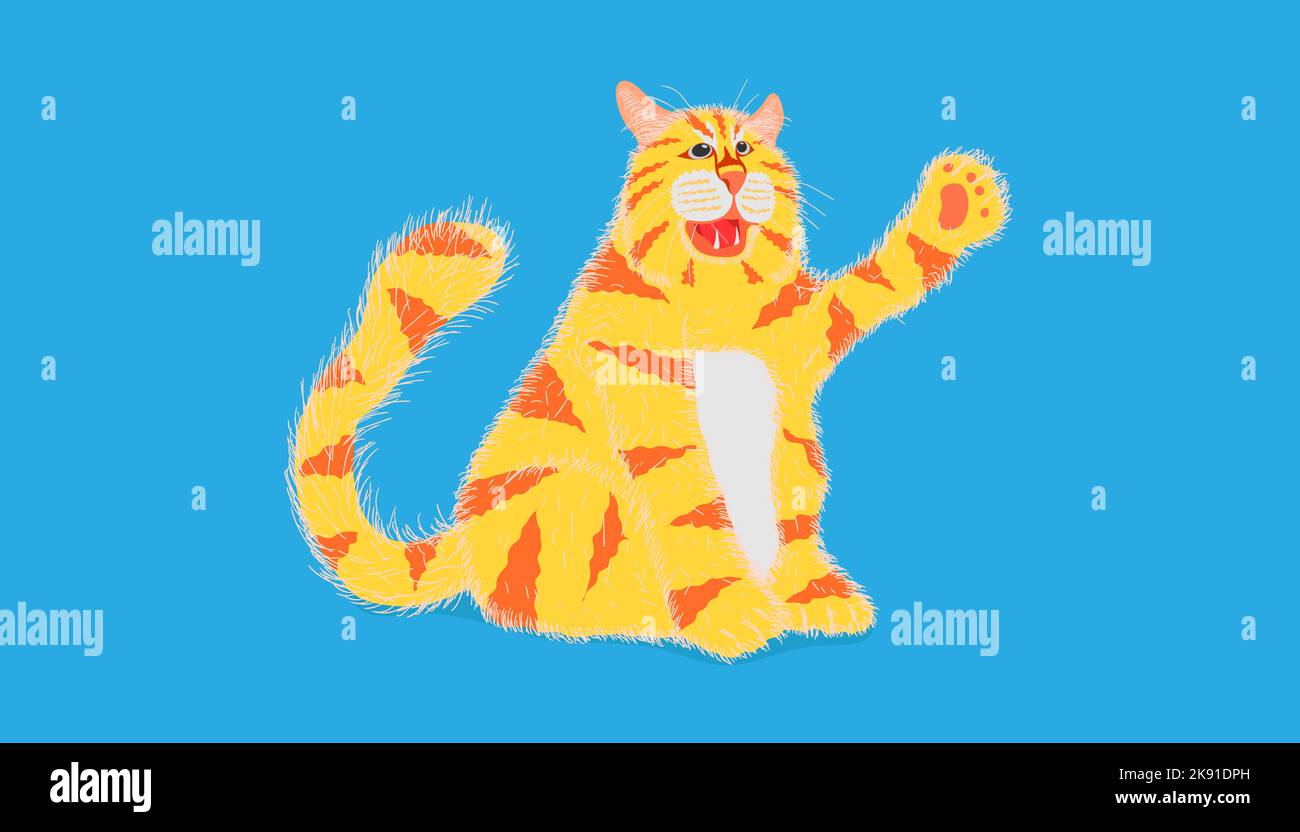 The lovely yellow and orange striped cat flop on a pastel blue ...