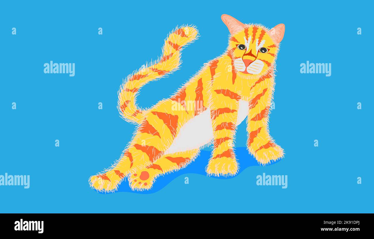The lovely yellow and orange striped cat flop on a pastel blue ...