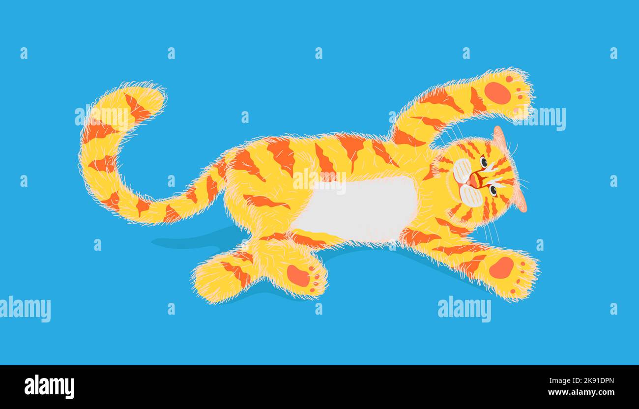 The lovely yellow and orange striped cat flop on a pastel blue ...
