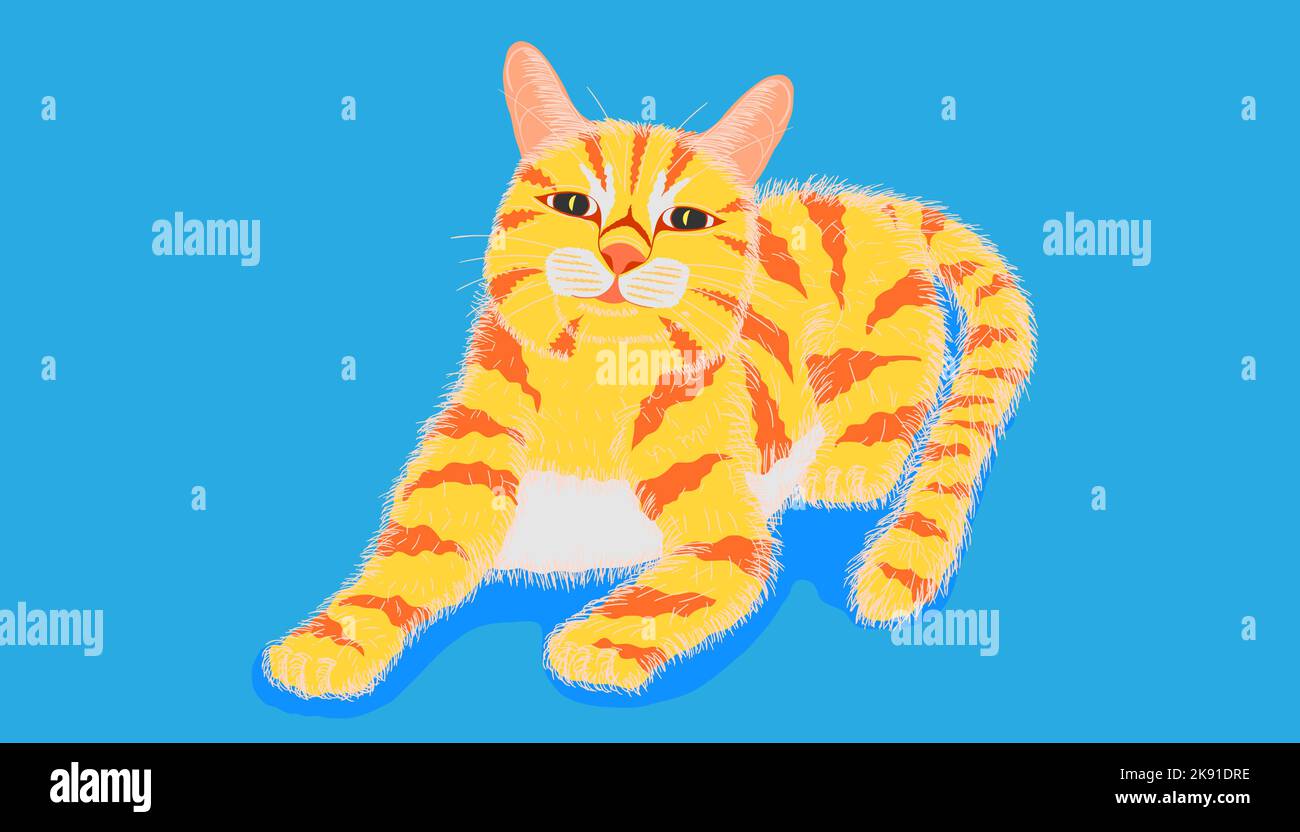 The lovely yellow and orange striped cat flop on a pastel blue ...