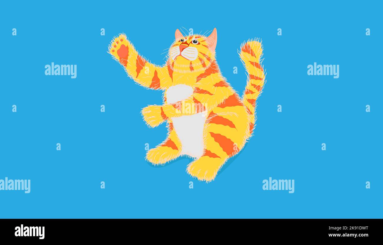 The lovely yellow and orange striped cat flop on a pastel blue ...