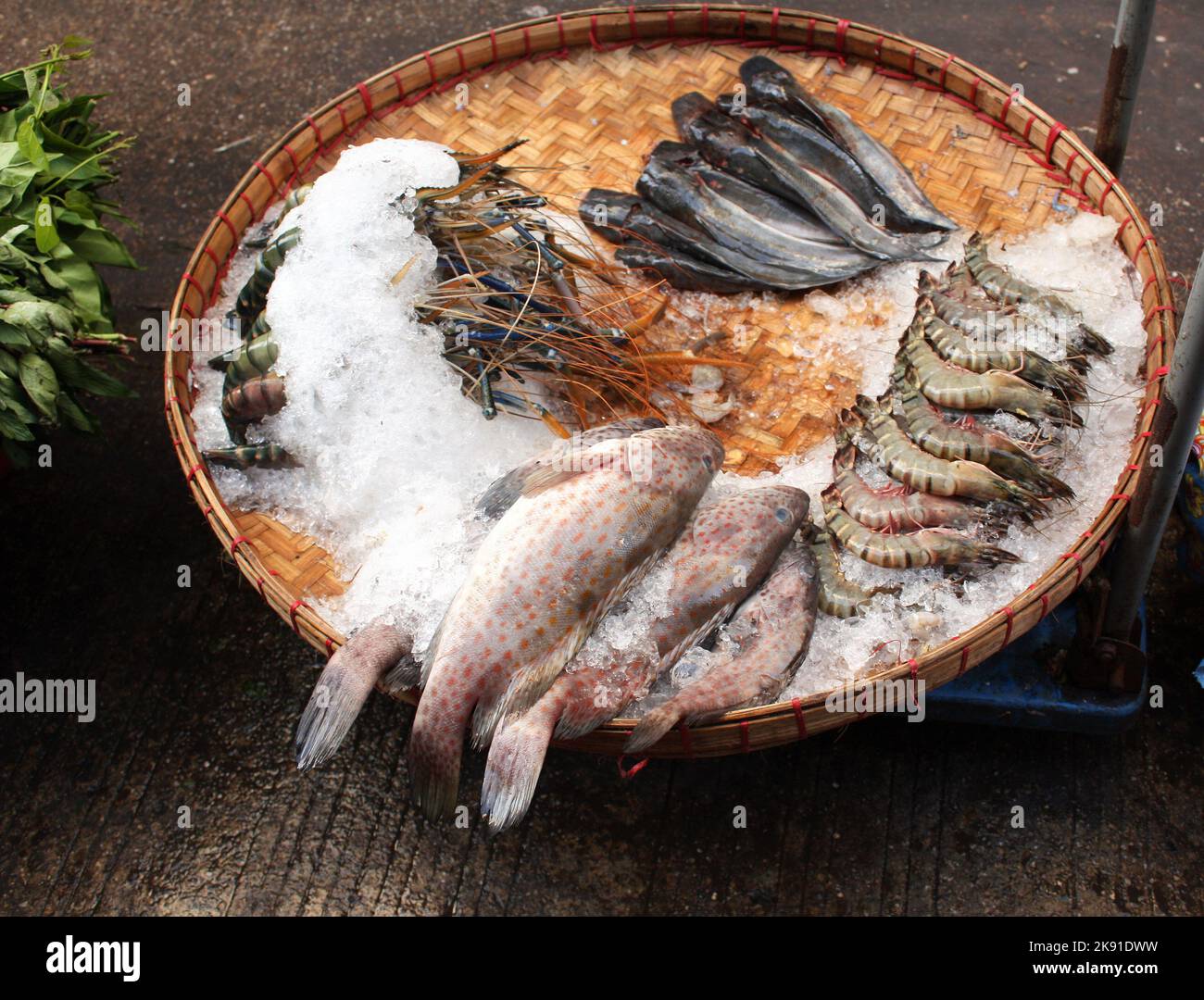 Freshly caught fish and shrimp in a wicker basket in ice, morning fish ...