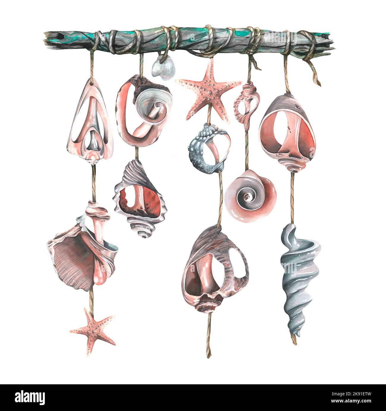A wooden snag with broken seashells and sea stars suspended. Watercolor ...