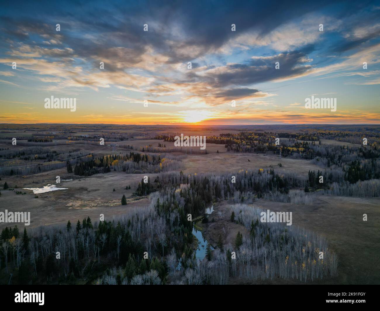 A beautiful view of colorful trees in a prairie forest at sunset near ...
