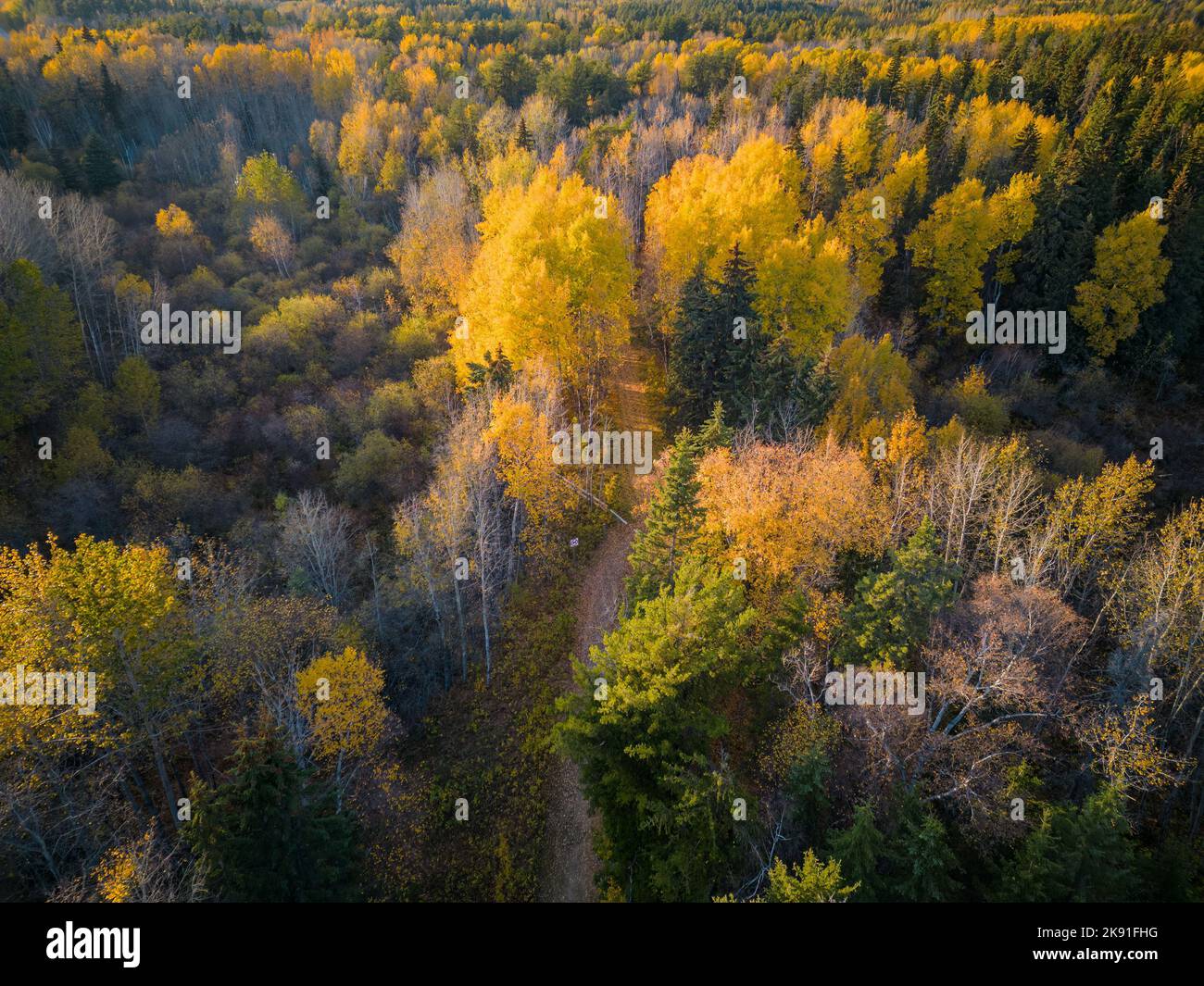 An aerial view of a walking trail surrounded by colorful trees near ...