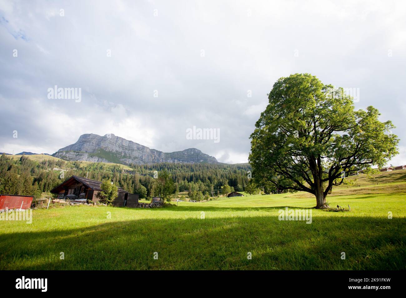A natural view of the green field and mountain landscape in Switzerland ...
