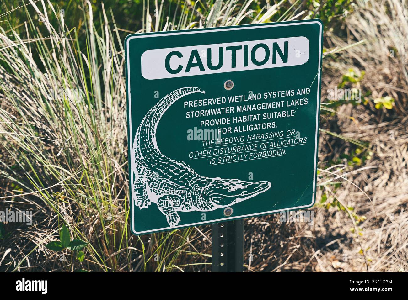 A big green caution sign with white alligator icon and information in ...