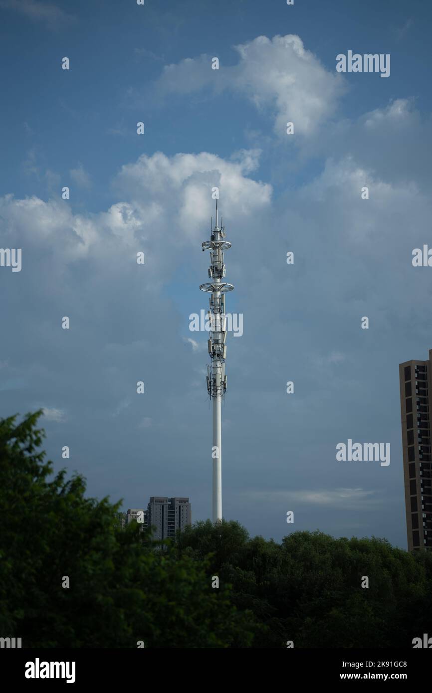 The vertical view of a telecom radar above the trees under the blue sky ...