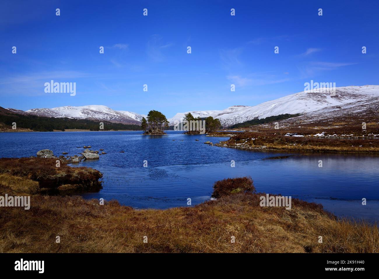 A view of dry grass, trees, and mountains on the banks of Loch Ossian ...