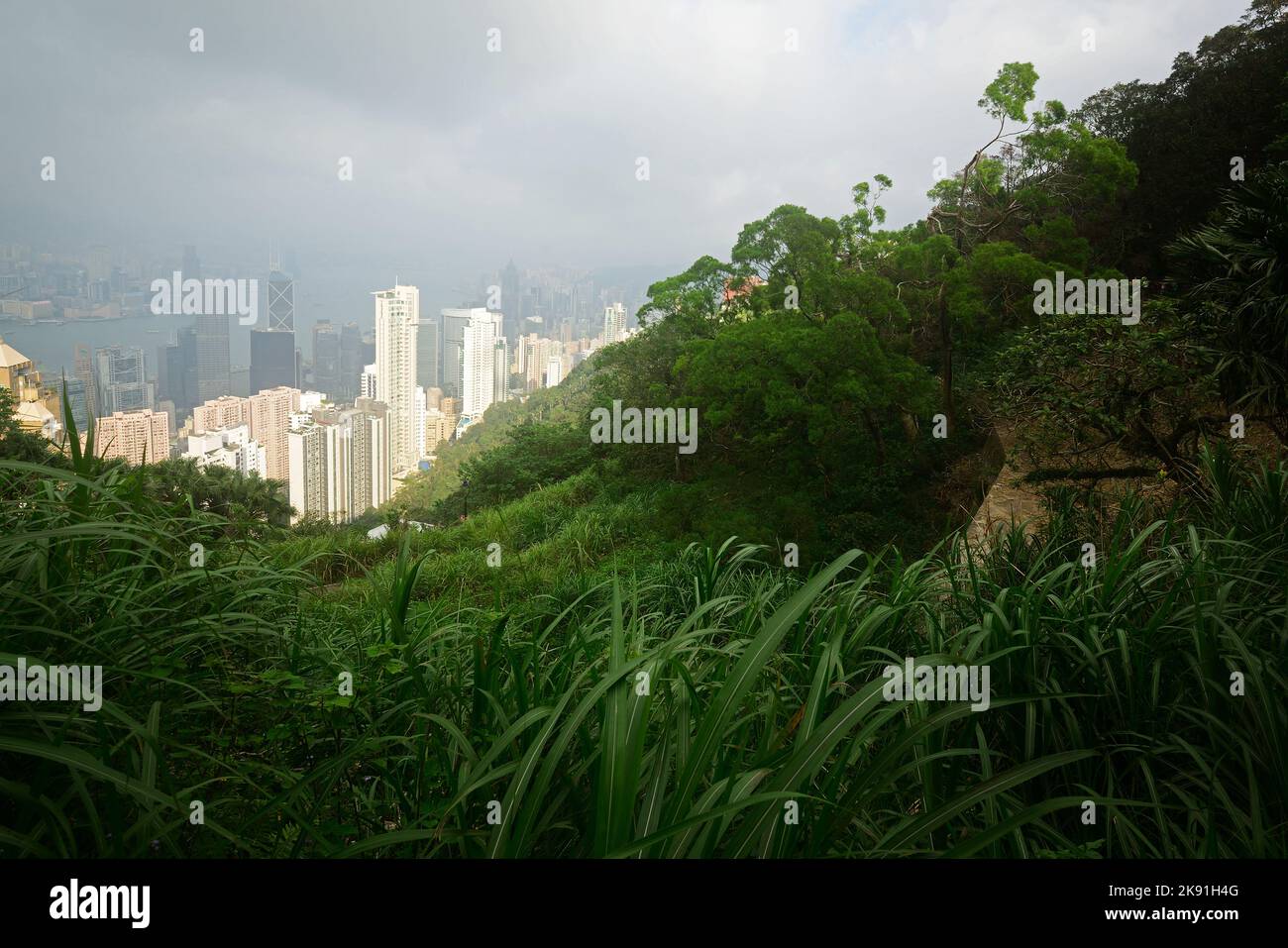 The view of green slopes before the Hong Kong skyscrapers Stock Photo ...