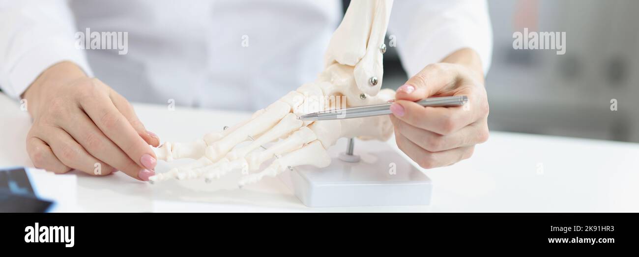 Orthopedic doctor show human plastic feet model, analyzing every bone ...