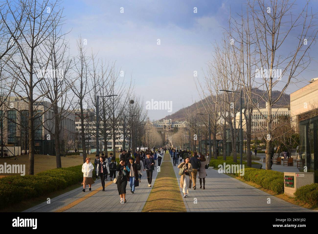 A high-angle rear of students on the lane approaching to the university ...