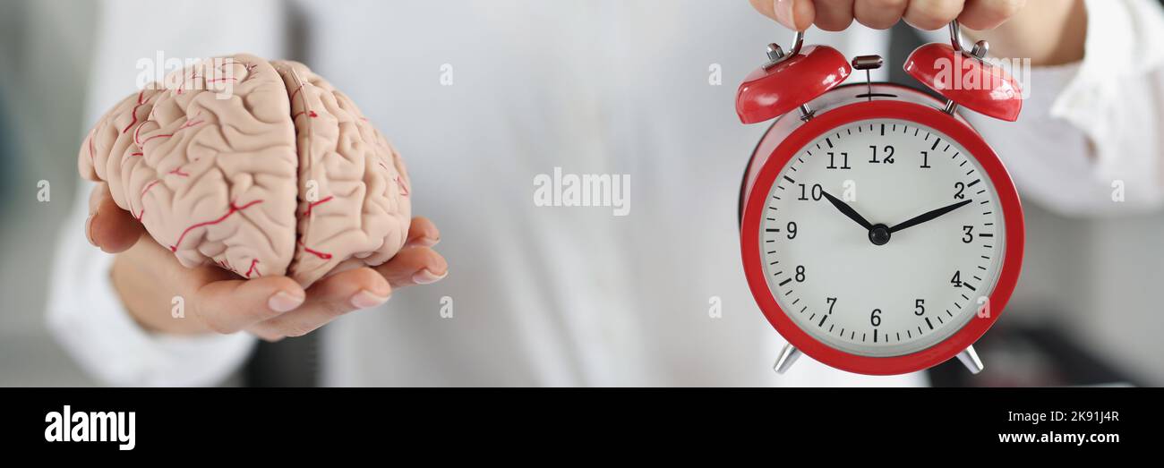 Female brain diagram hi-res stock photography and images - Alamy