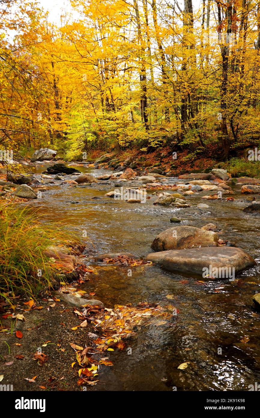 Mountain river flowing through forested hi-res stock photography and images - Alamy