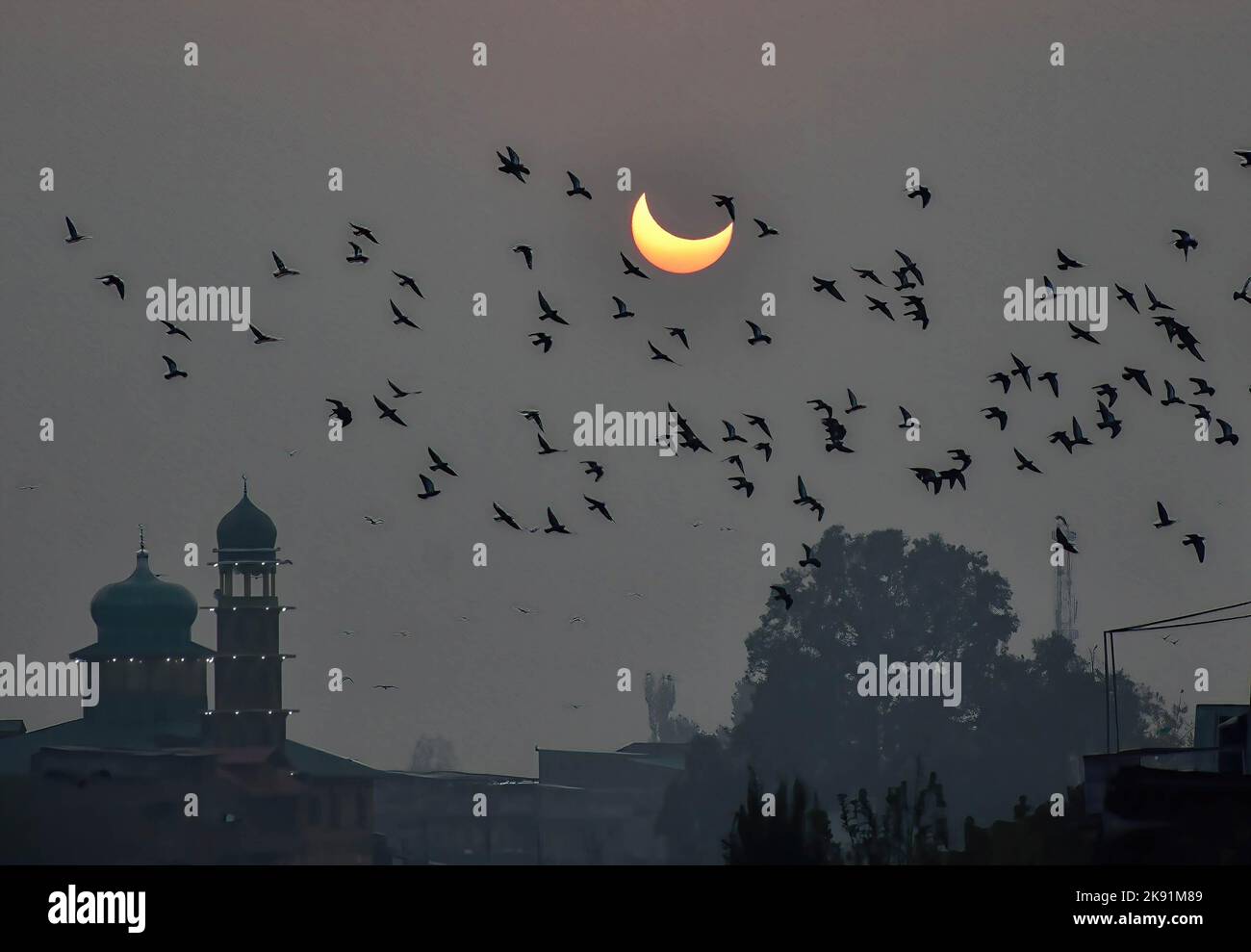 Birds fly as a partial solar eclipse is seen in Srinagar. The partial ...