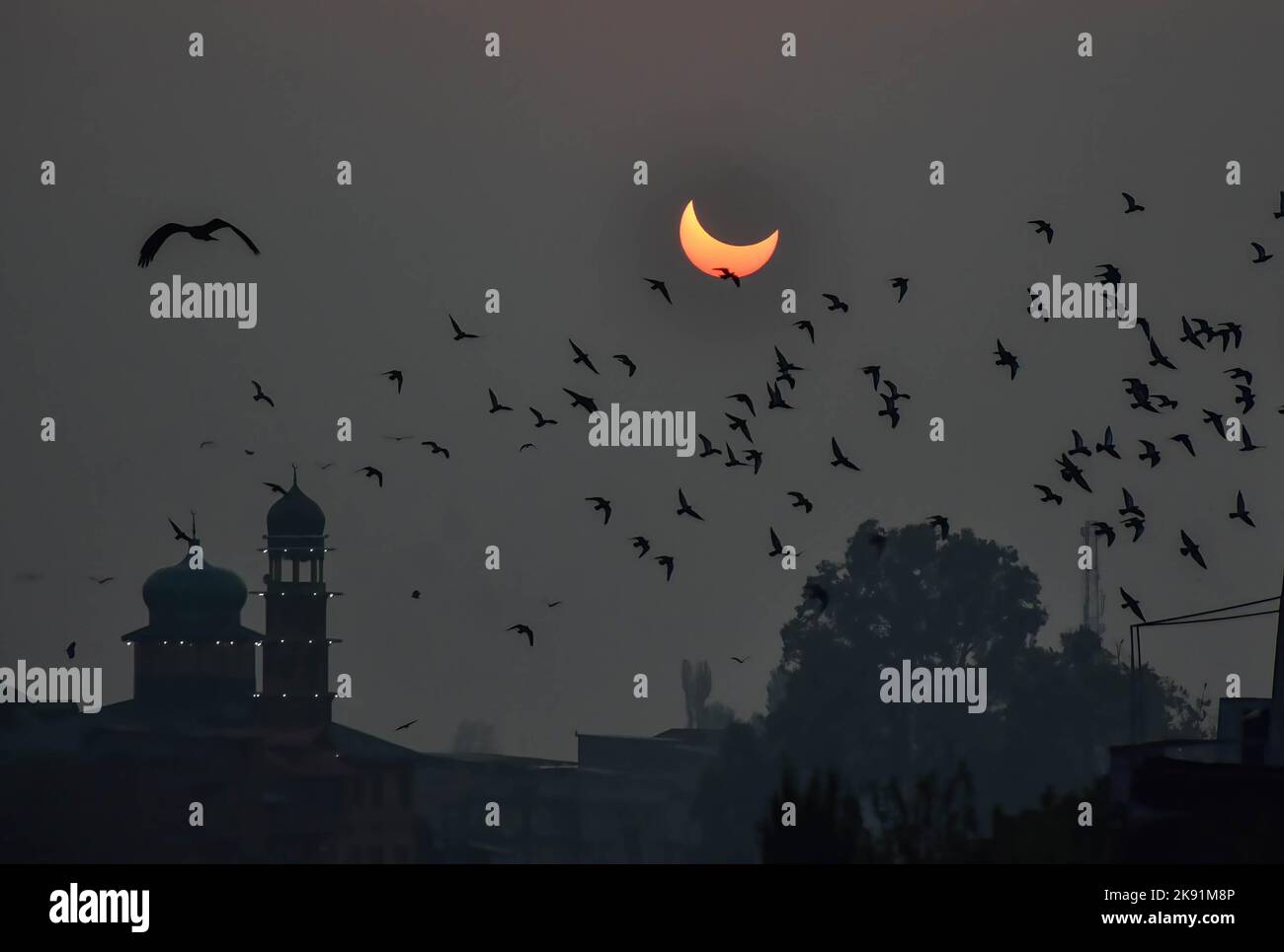 Birds fly as a partial solar eclipse is seen in Srinagar. The partial ...
