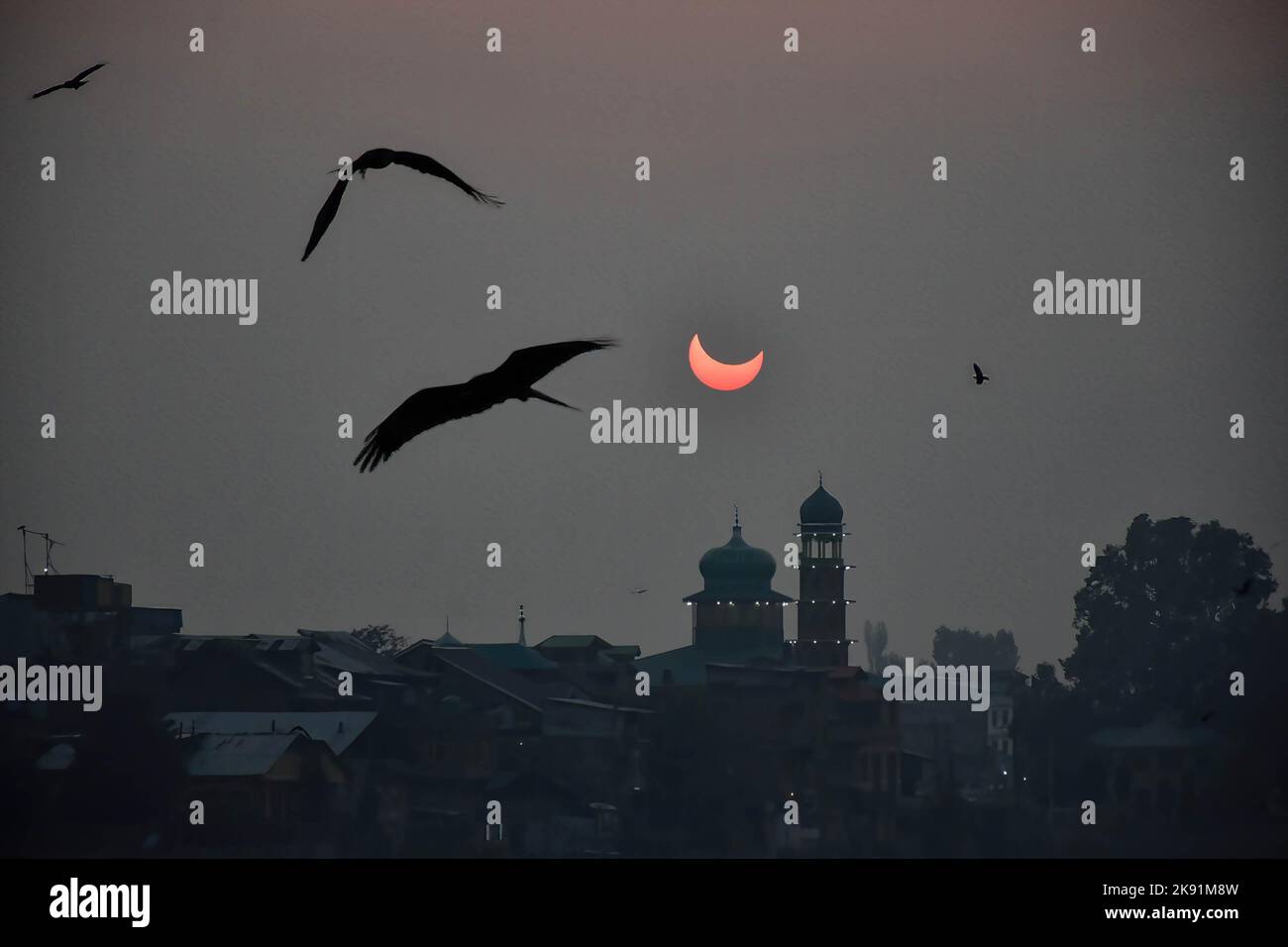 Birds fly as a partial solar eclipse is seen in Srinagar. The partial ...