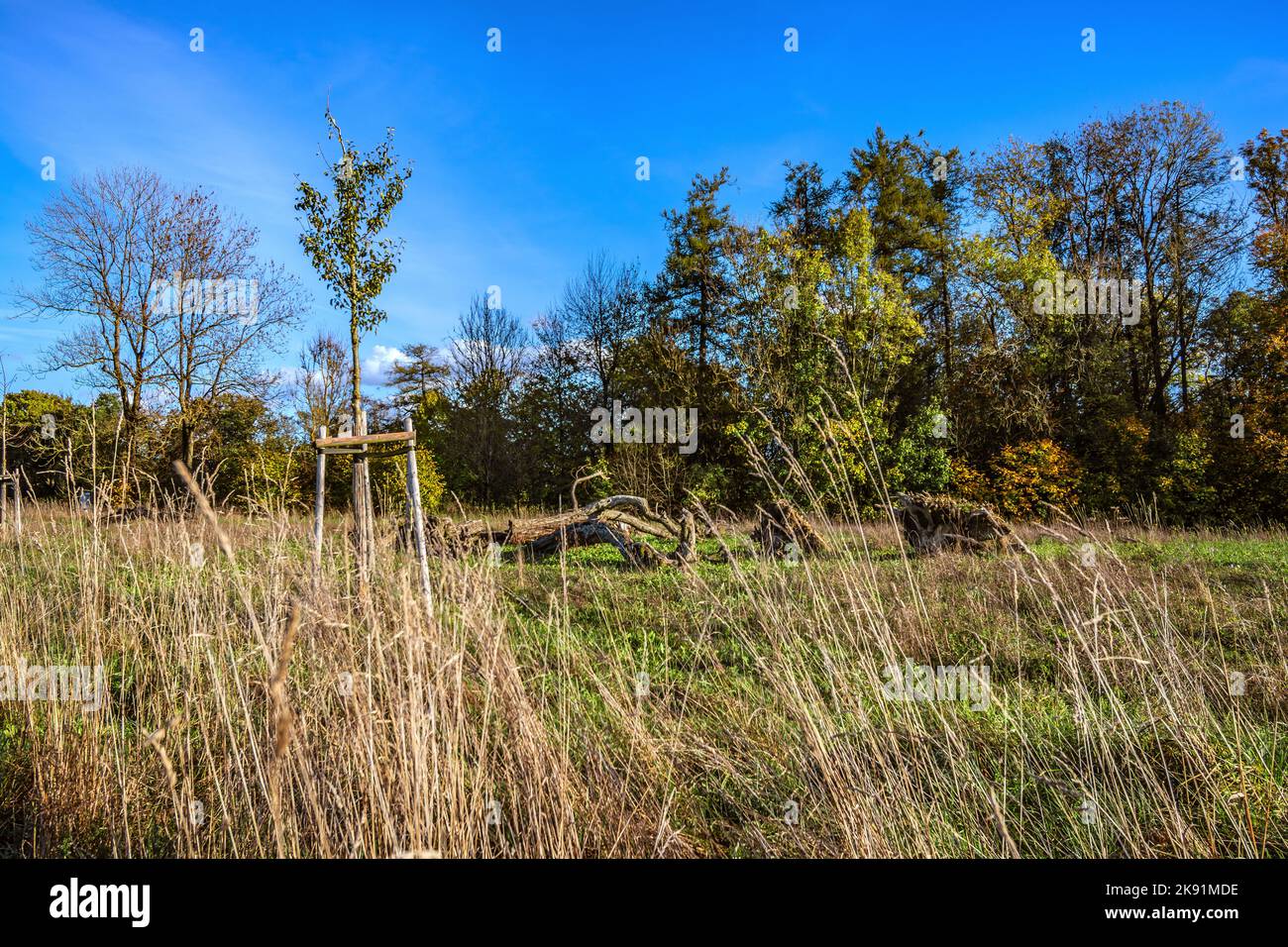 Schlosspark laupheim hi-res stock photography and images - Alamy