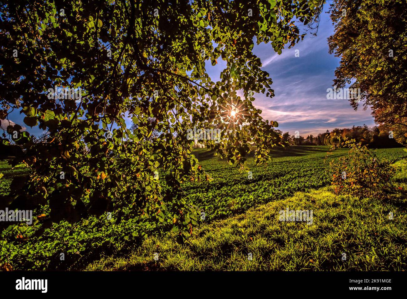 Schlosspark laupheim hi-res stock photography and images - Alamy
