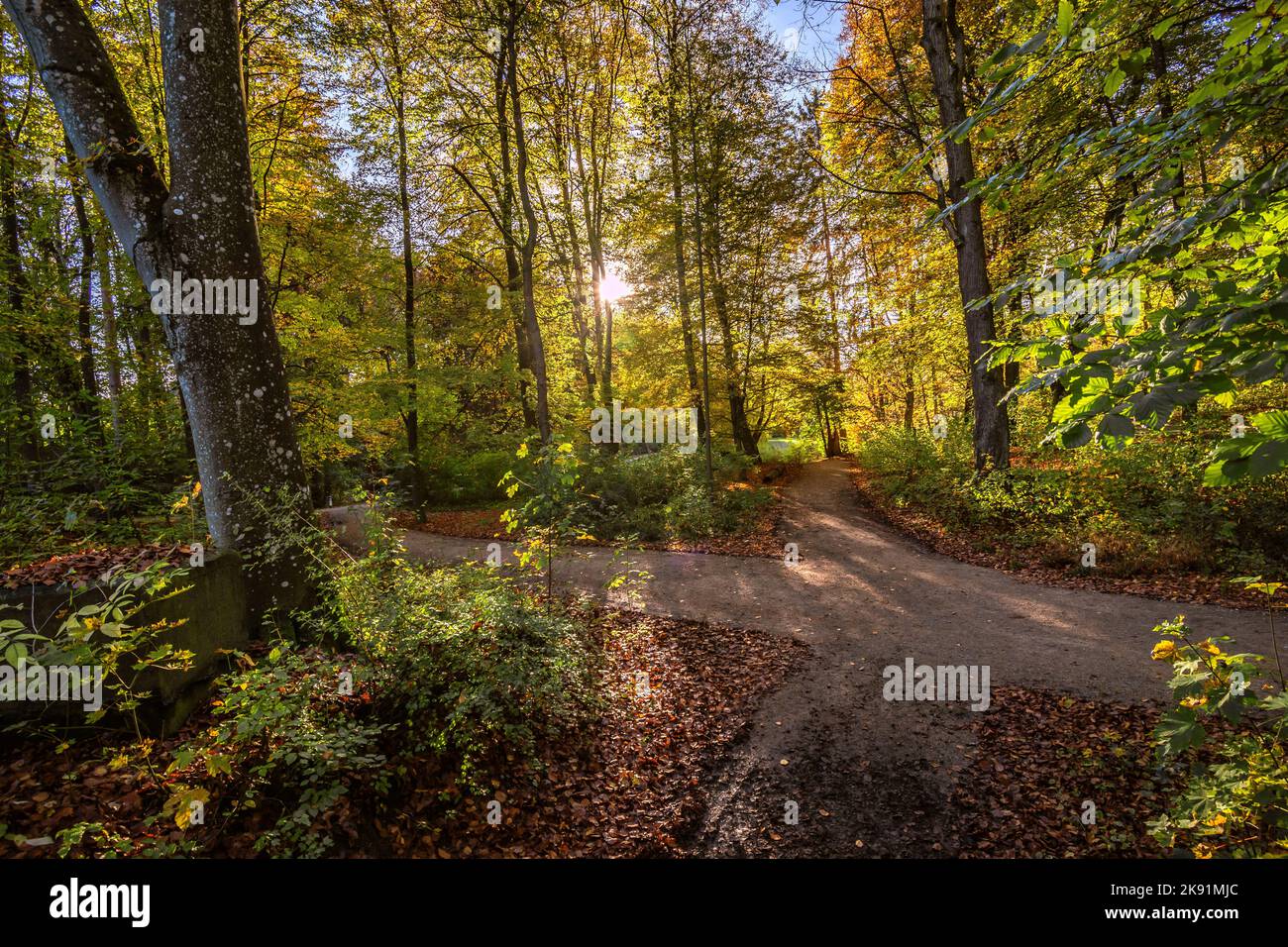 Schlosspark laupheim hi-res stock photography and images - Alamy