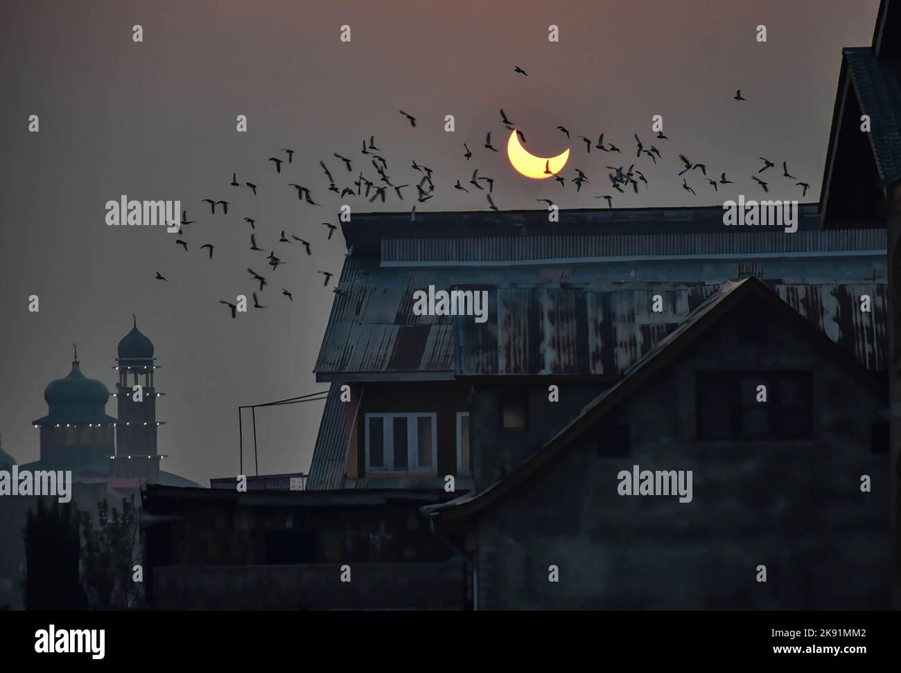 Birds in astrology hi-res stock photography and images - Alamy