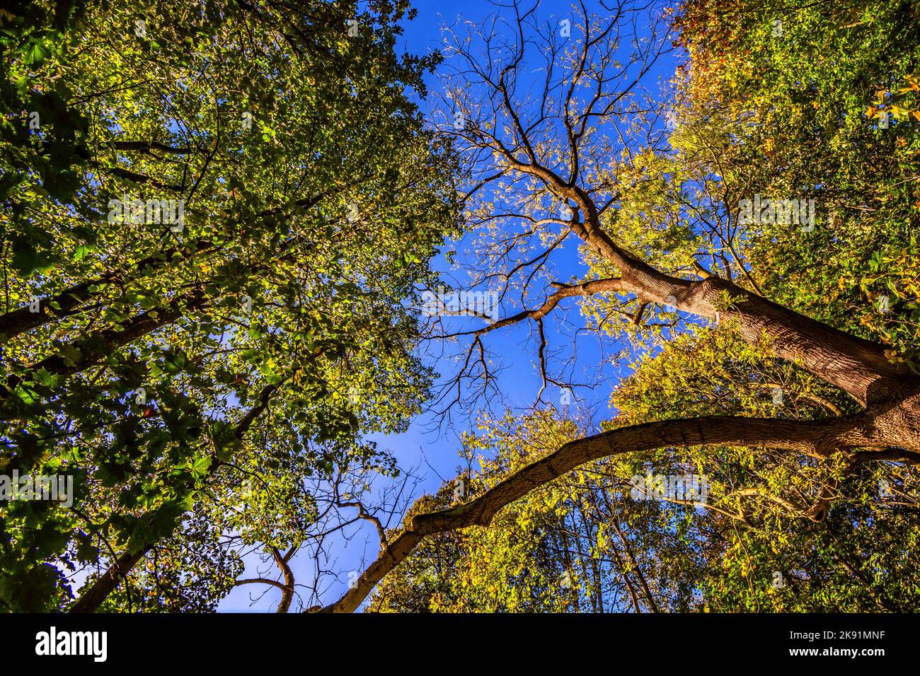 Visit laupheim hi-res stock photography and images - Alamy
