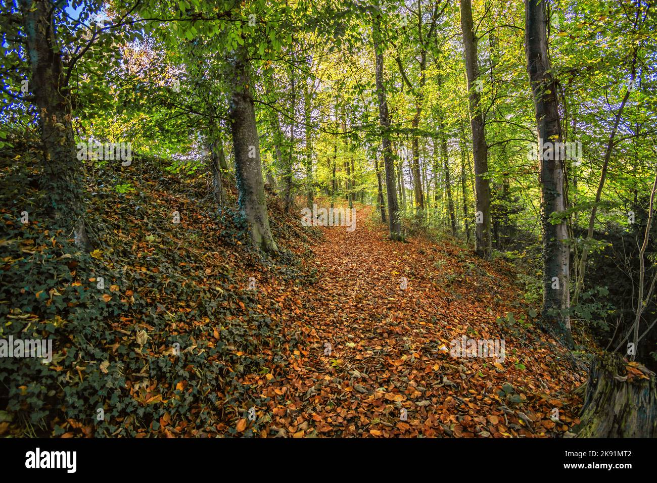 Schlosspark laupheim hi-res stock photography and images - Alamy