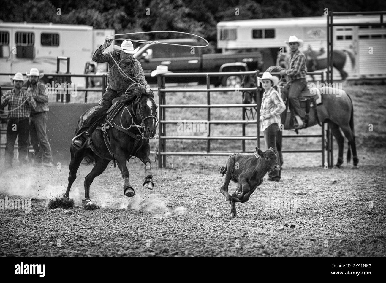 A grayscale shot of a cowboy calf roping at the Wyandotte County Kansas ...