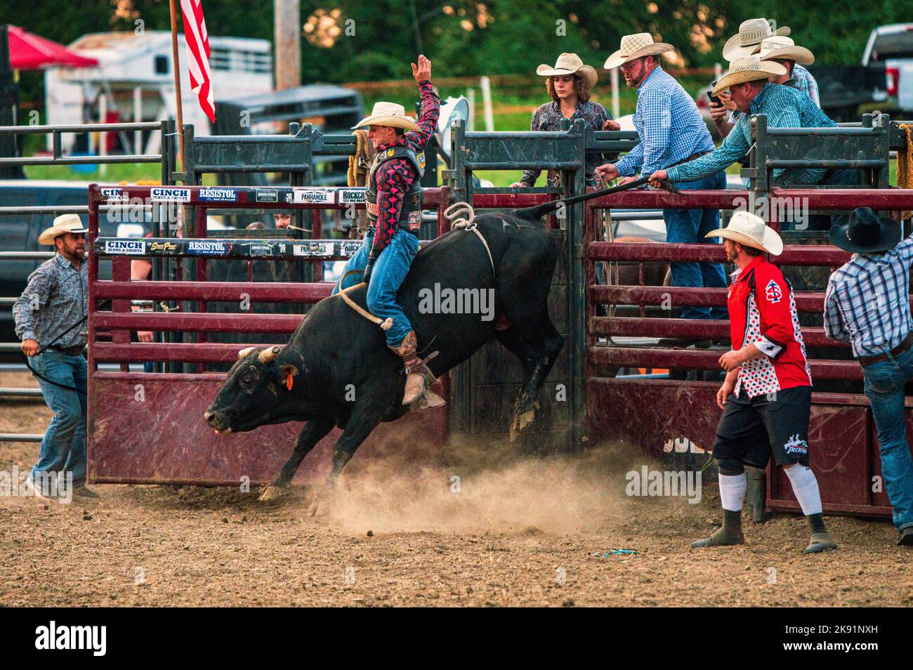 A cowboy riding a bull at the Wyandotte County Kansas Fair Rodeo Stock ...