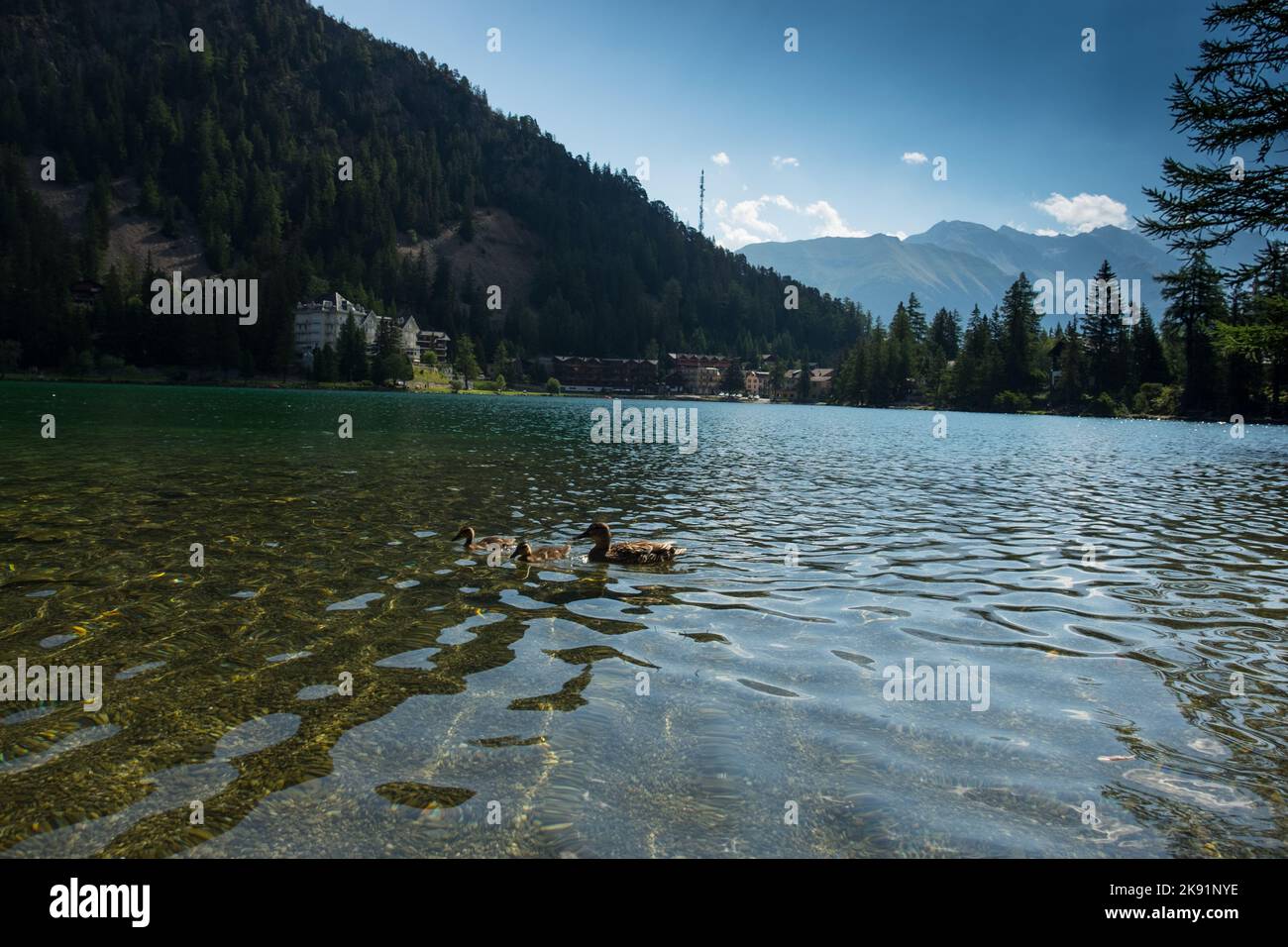 Lanscape view of a mountain lake, shot in Champex-Lac, Valais ...