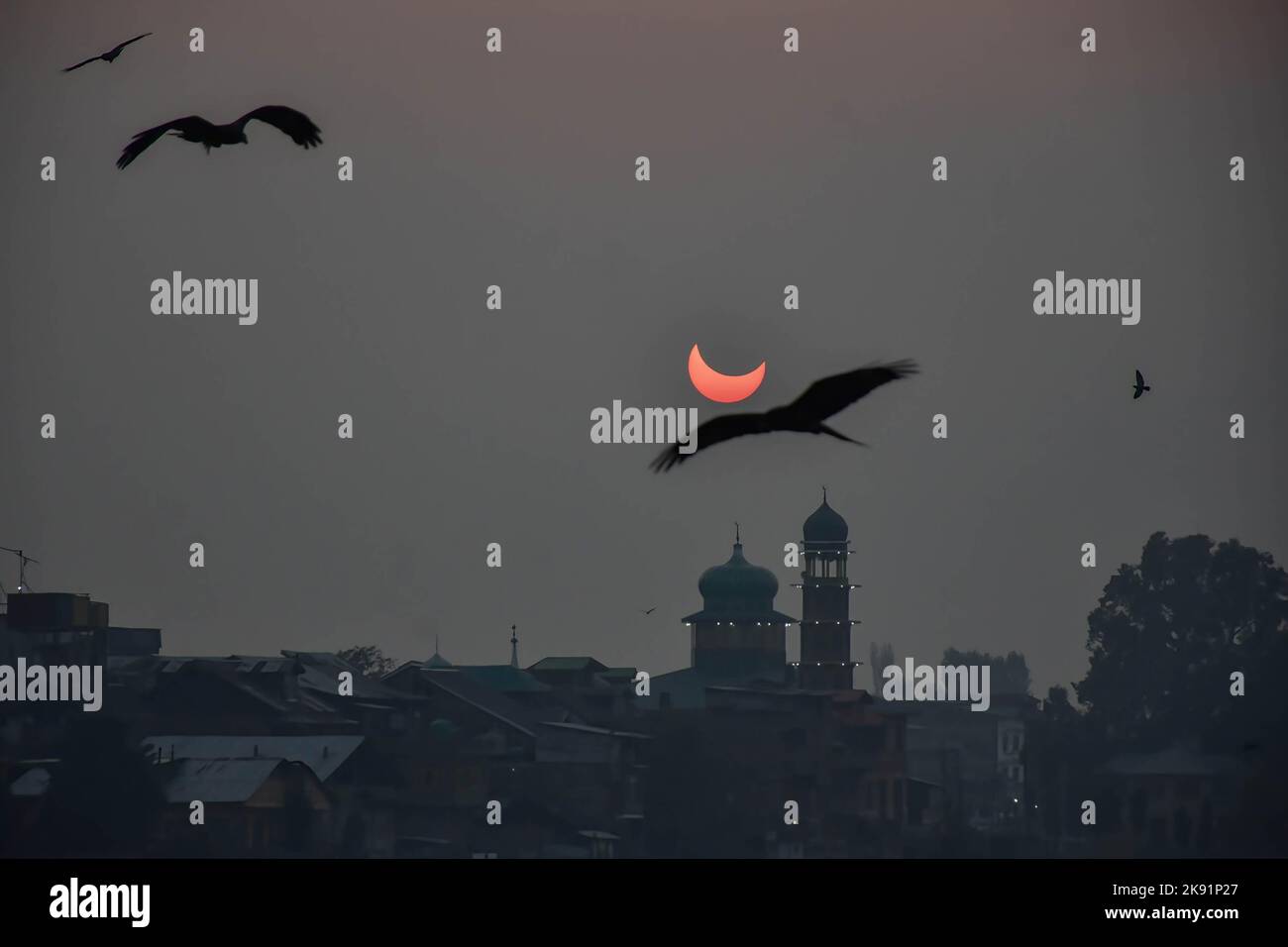 Srinagar, Kashmir, India. 25th Oct, 2022. Birds fly as a partial solar ...