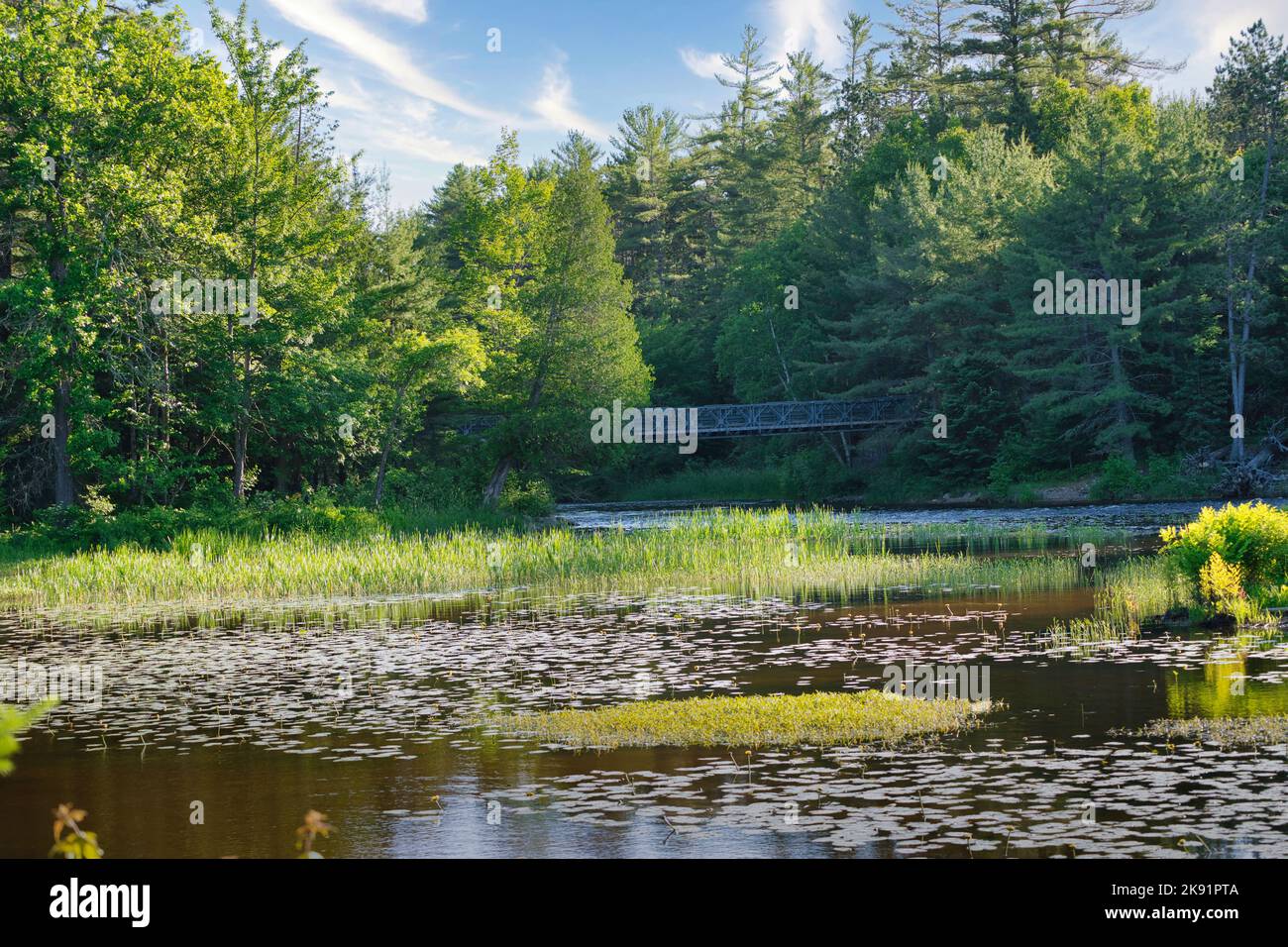 A beautiful landscape of the Mattawa river and trees in the background ...
