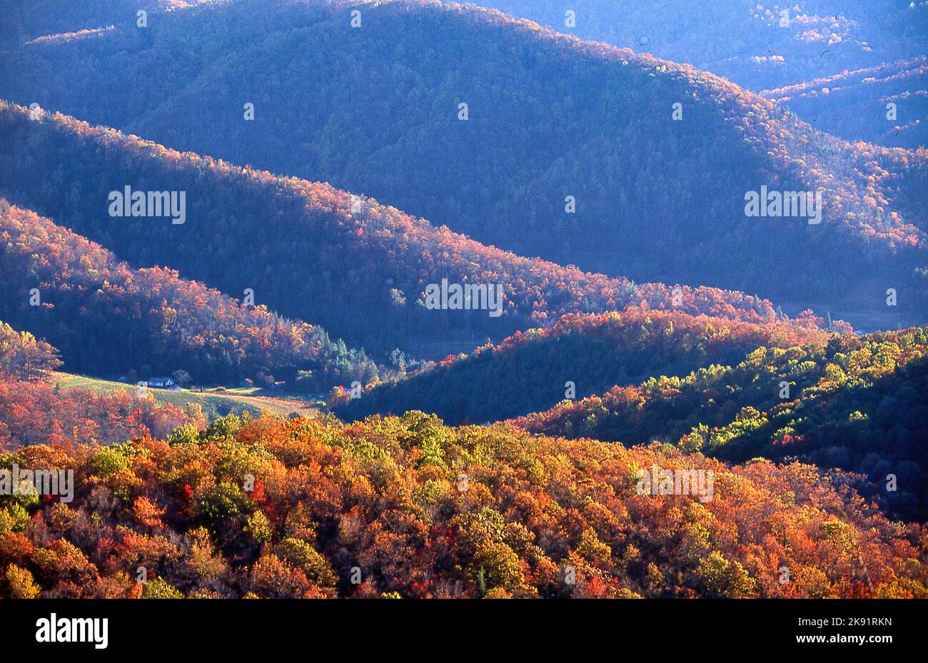 Virginia forest in Fall Photo by Dennis Brack. bb85 Stock Photo - Alamy