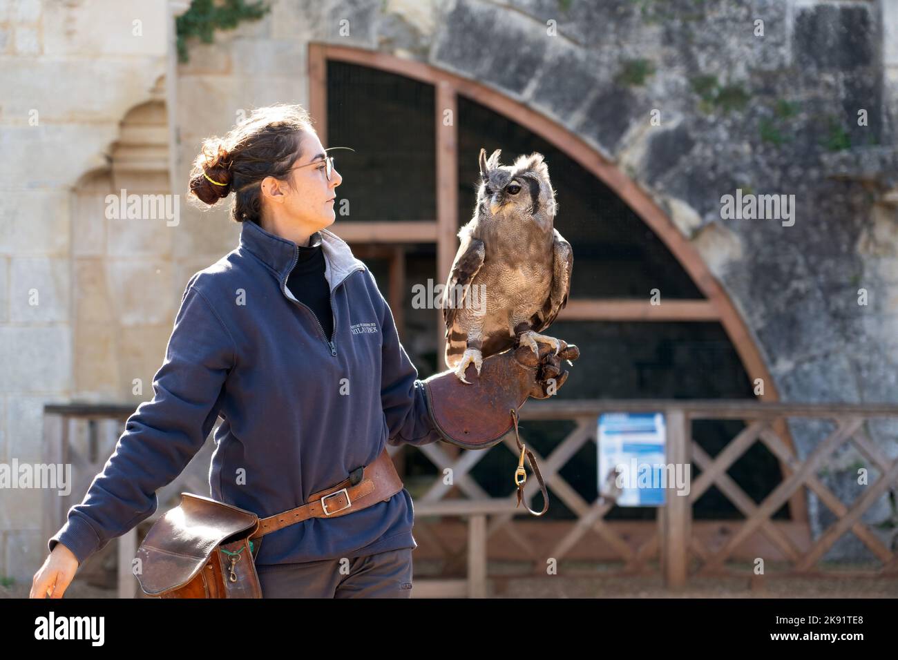 a Verreaux's eagle owl (Bubo lacteus) also known as the milky eagle owl ...
