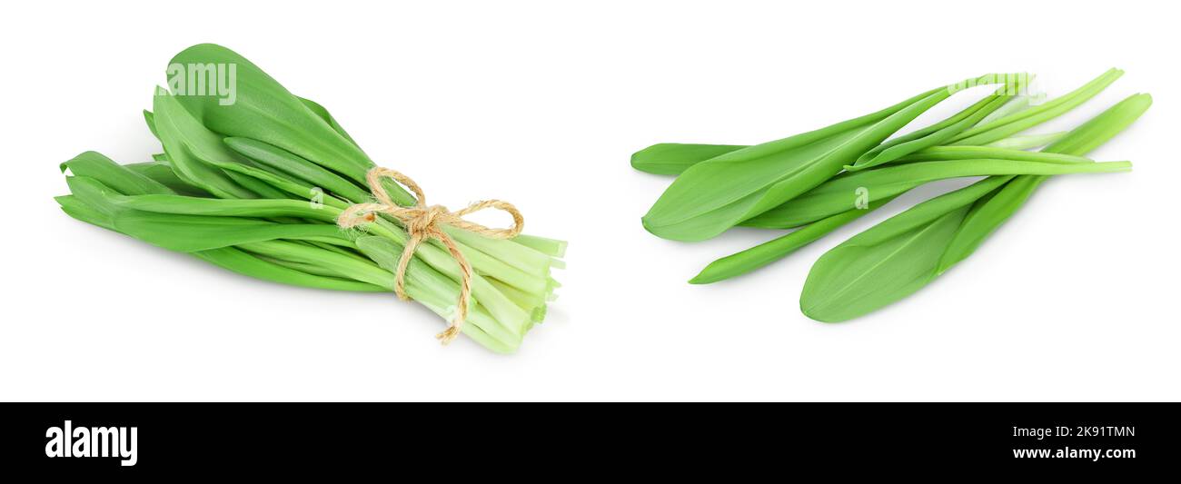Ramson bunch vegetable isolated on white background with full depth of ...