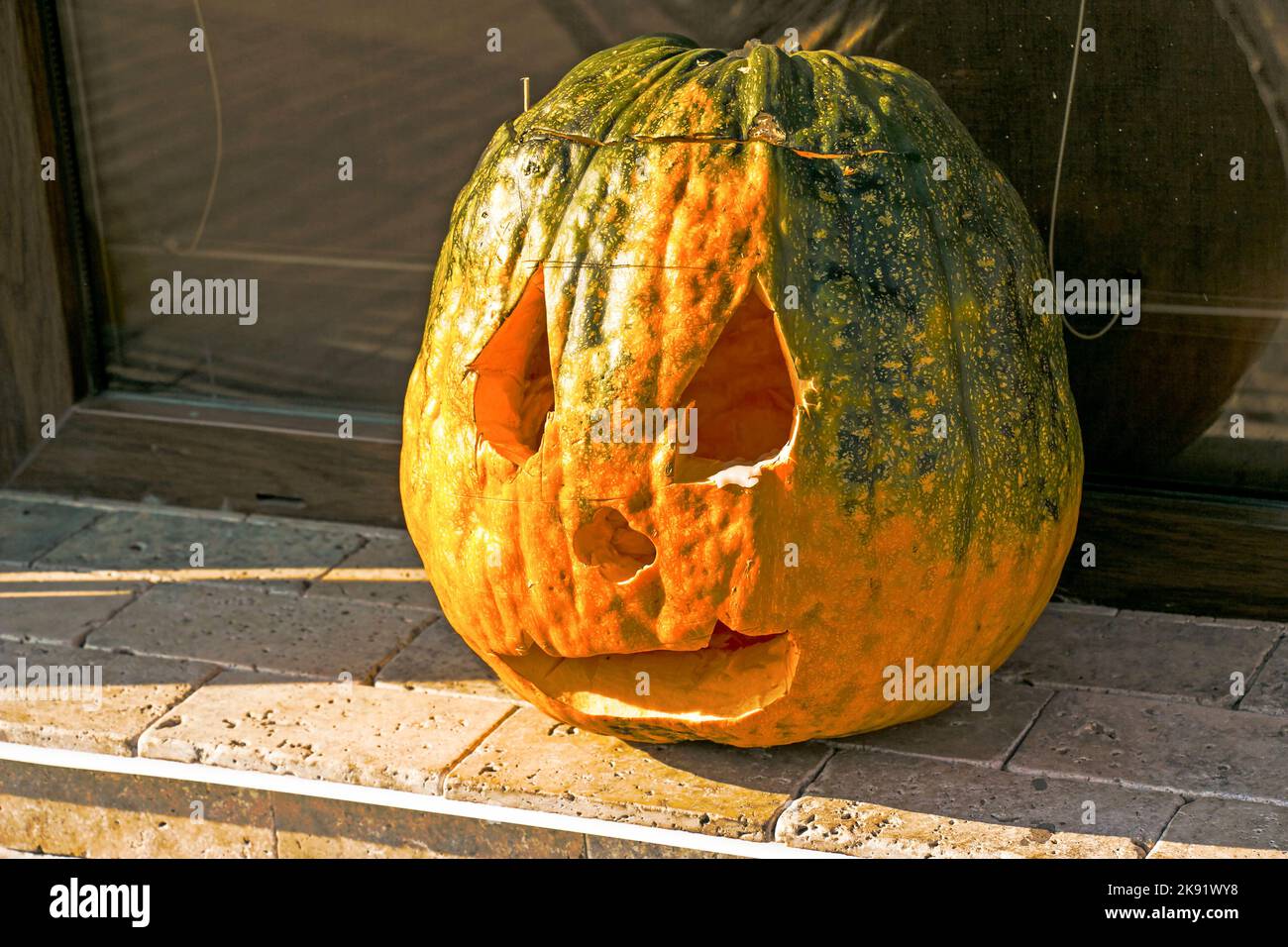 Harvesting pumpkin for Halloween. Positive emotion concept Stock Photo ...