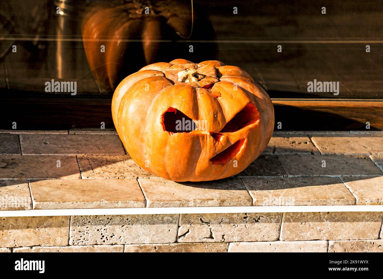 Harvesting pumpkin for Halloween. Positive emotion concept Stock Photo ...