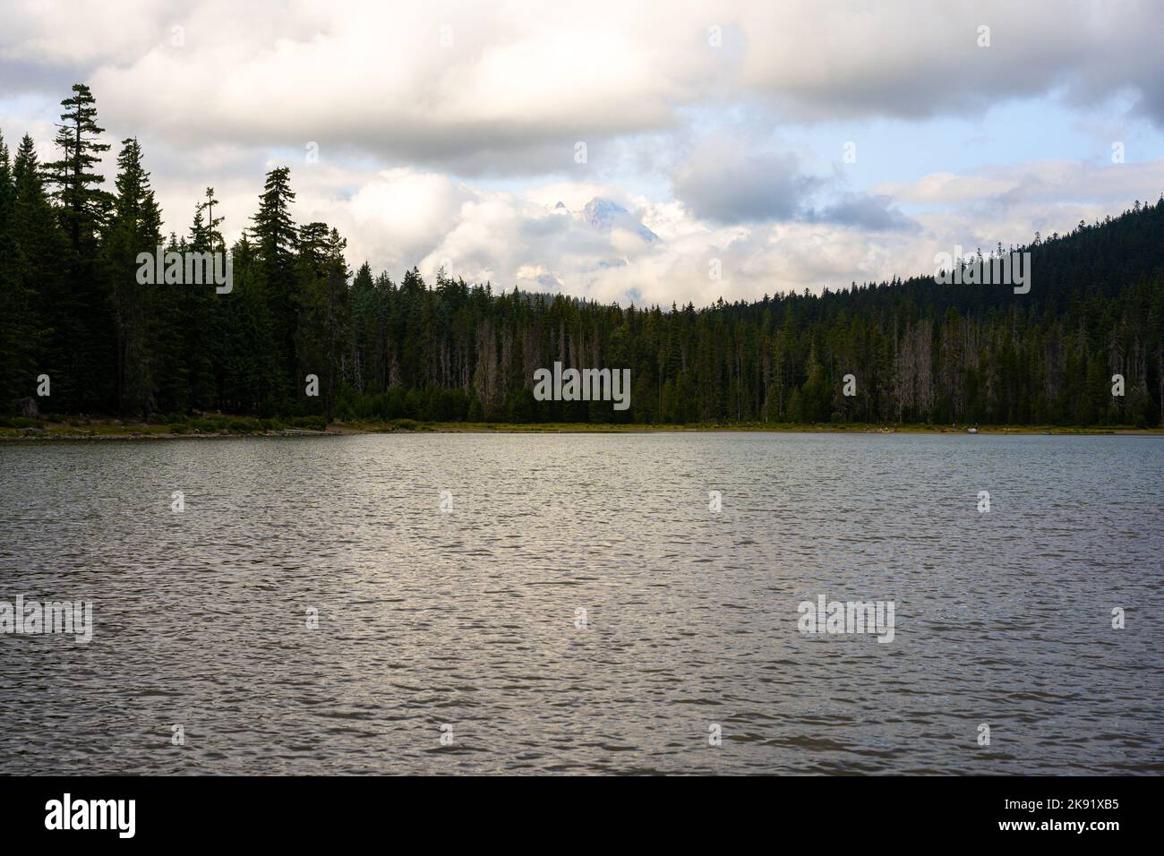 The beautiful natural landscape with the lake view in the forest Stock ...