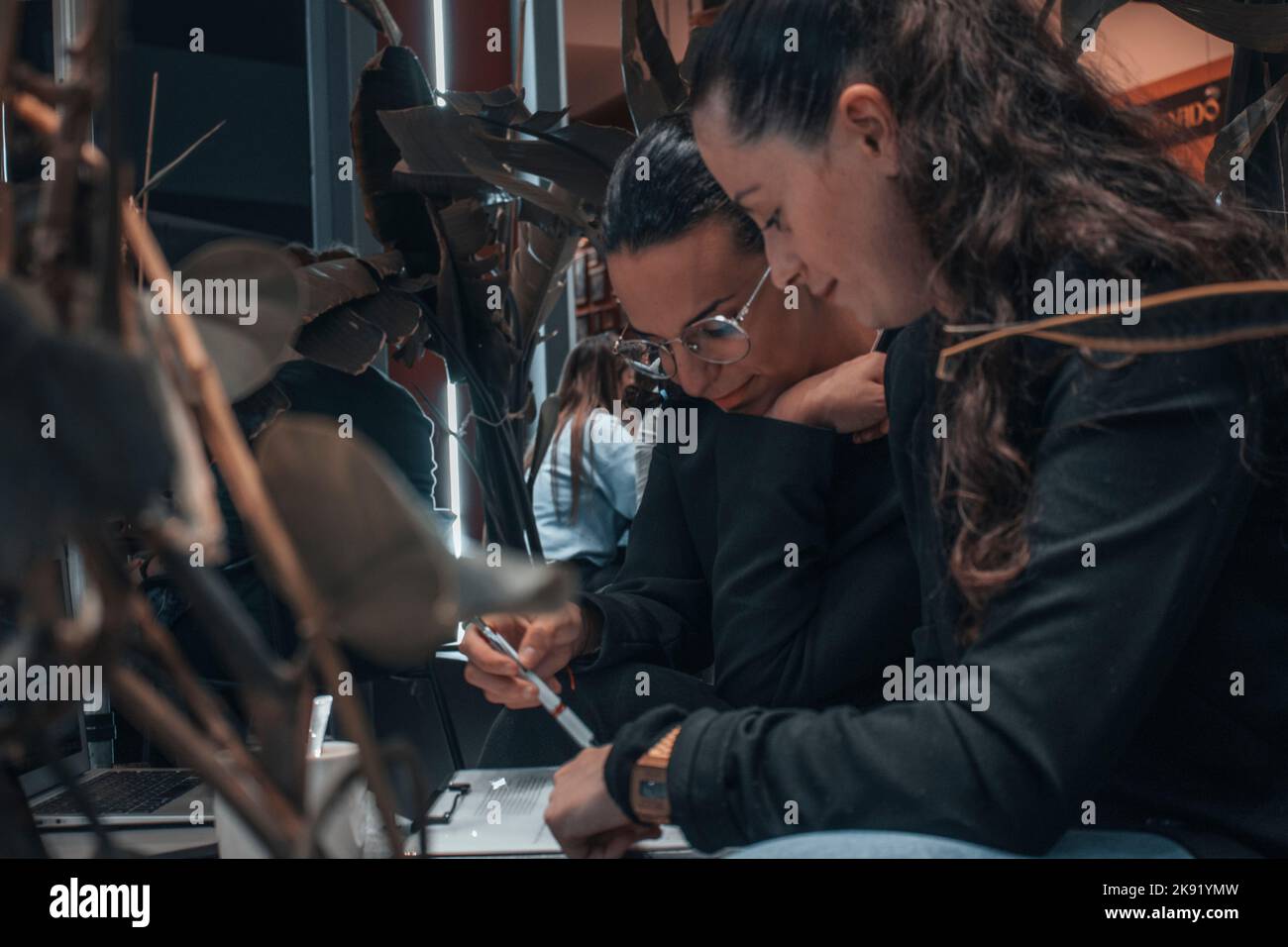 The view of two young female interns working on a task while sitting in ...