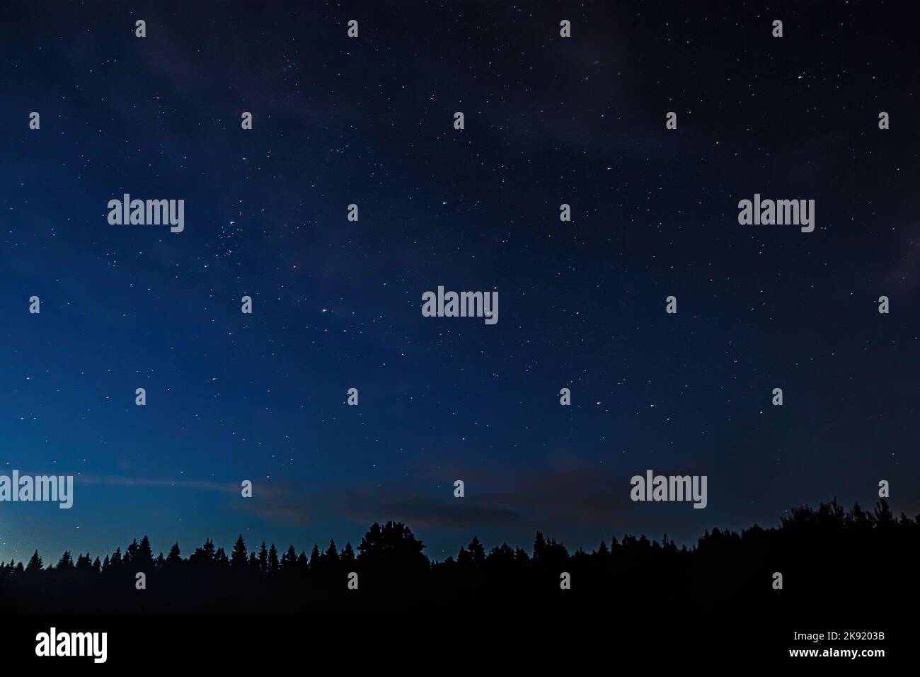 Night starry sky over forest. Tree silhouettes against backdrop of ...
