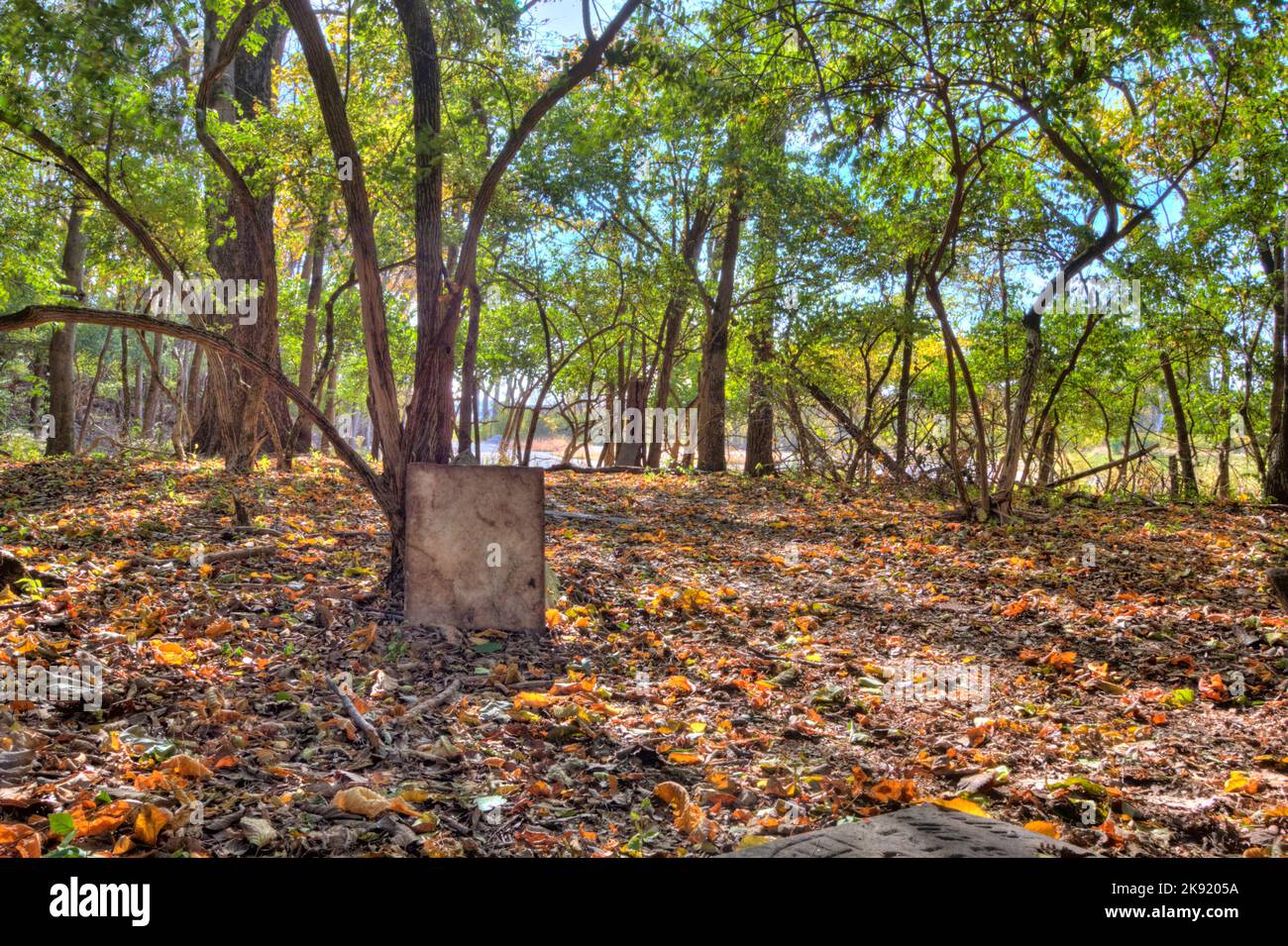 White-Britton Cemetery, Quarry Trails Metro Park, Columbus, Ohio Stock ...