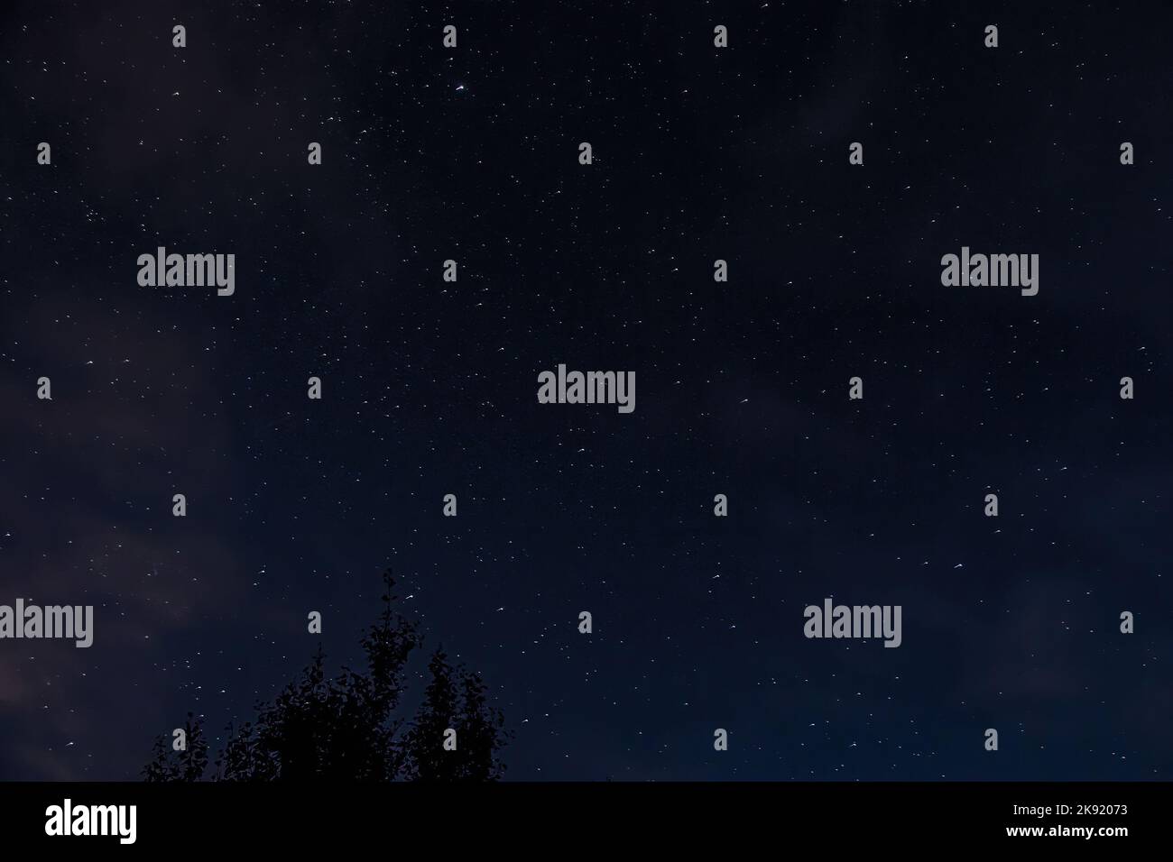 Night starry sky over forest. Tree silhouettes against backdrop of ...