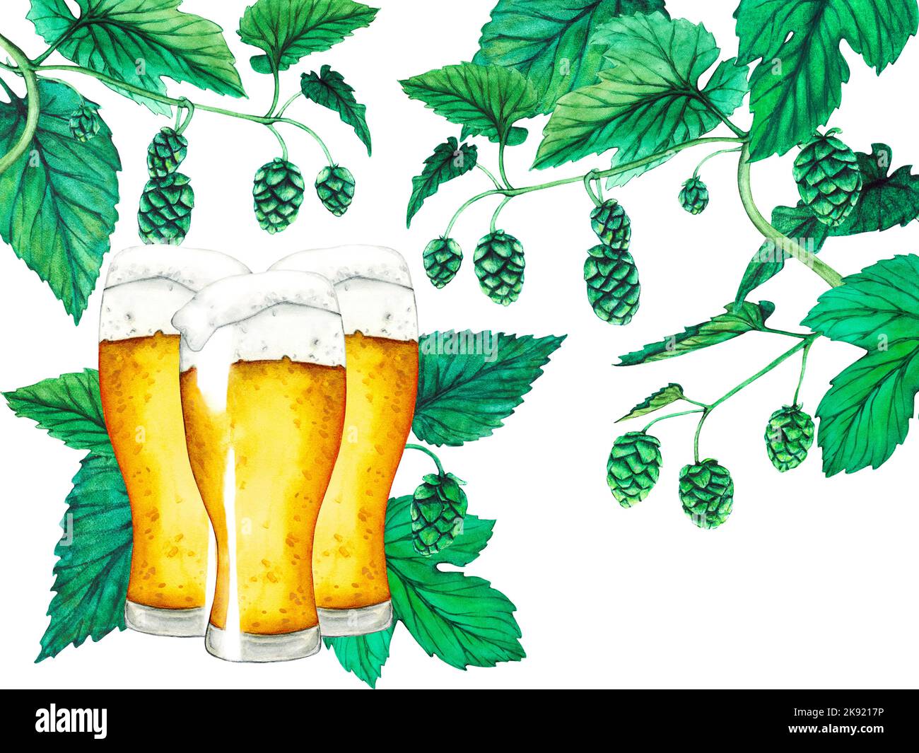 Glass of beer, hop and leaves. Watercolor hand drawn painting ...