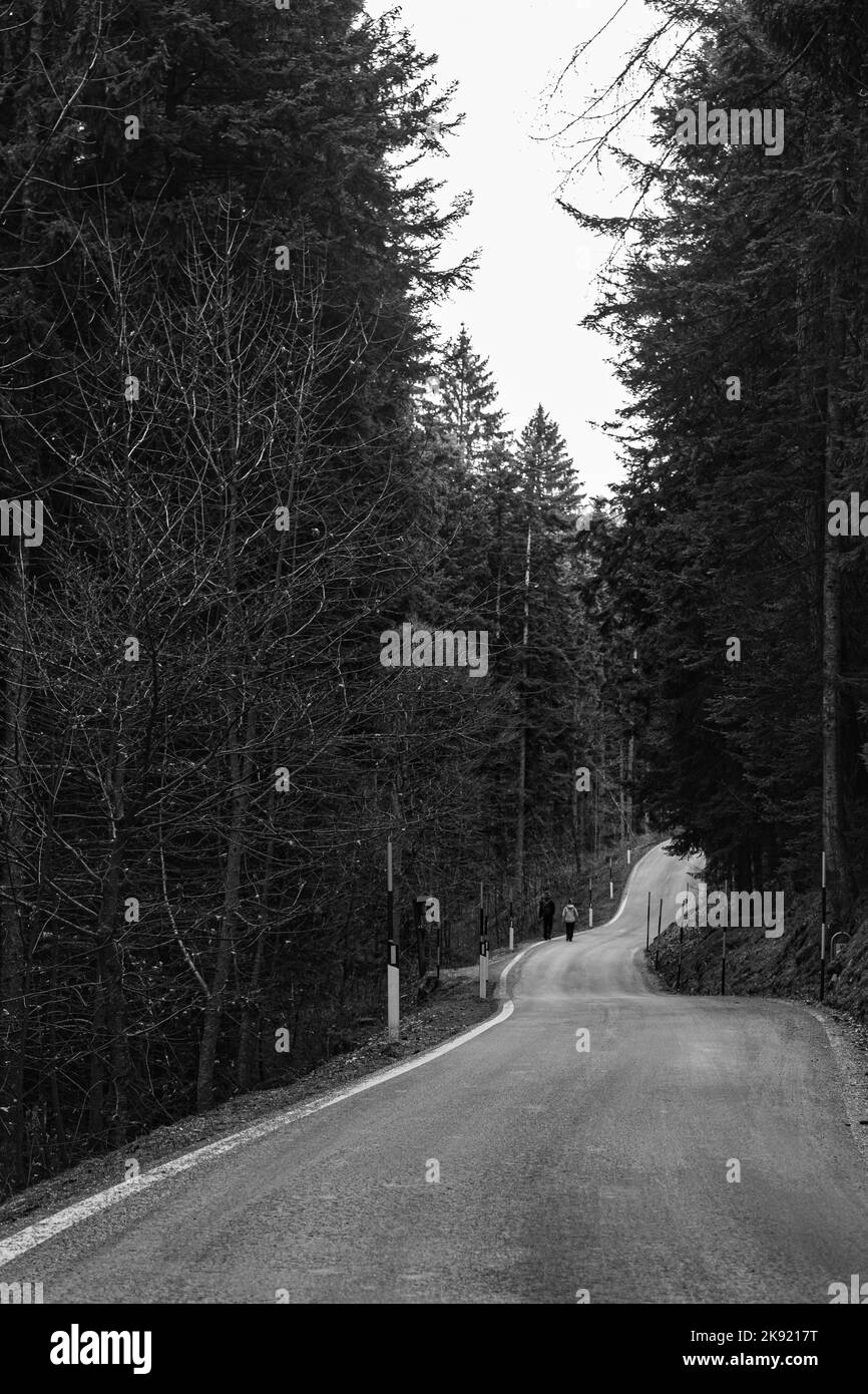 Two People Walking Away Forest Path Stock Photo - Alamy