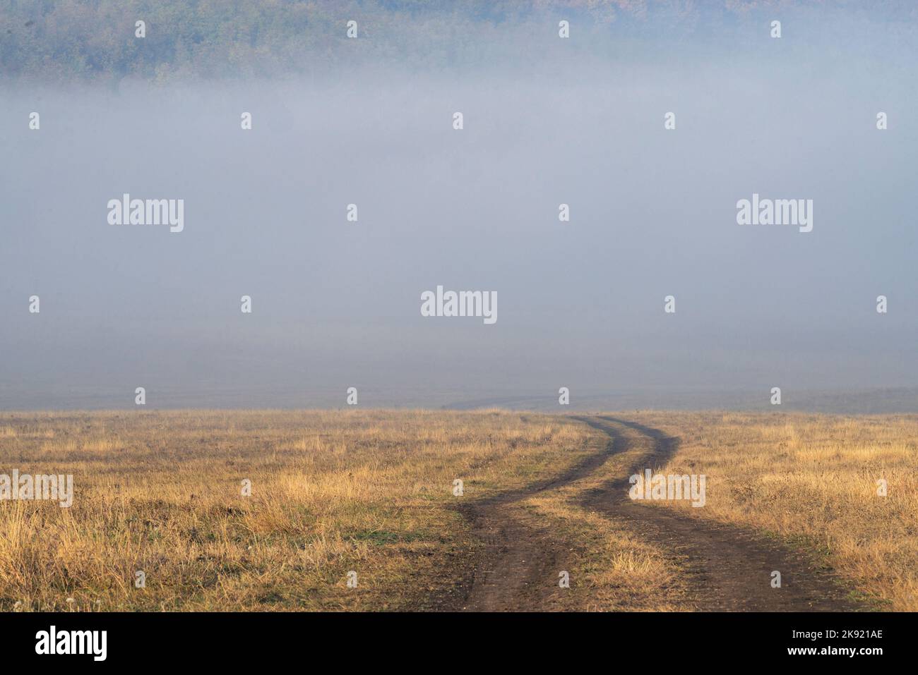 Misty ground road filled with fog rural road countryside Early morning ...