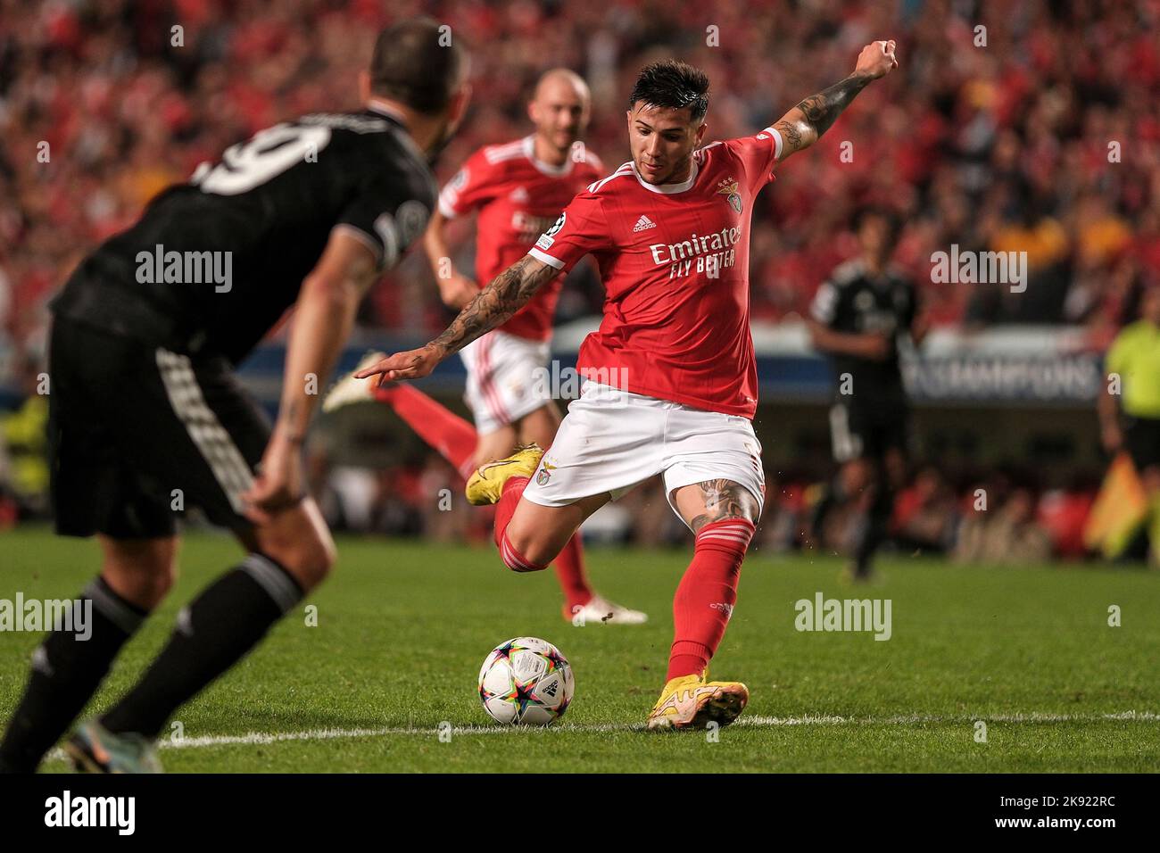 Enzo fernandez champions league hi-res stock photography and images - Alamy