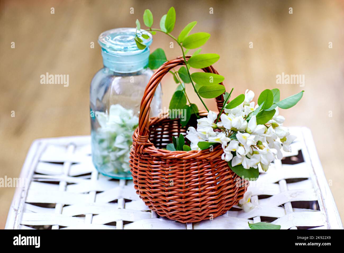 bunch of acacia in wicker basket. Collecting ingredients for natural ...
