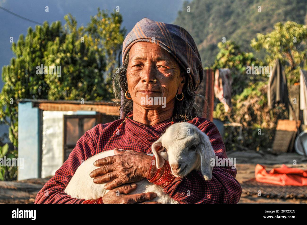 Old woman lamb nepal hi-res stock photography and images - Alamy