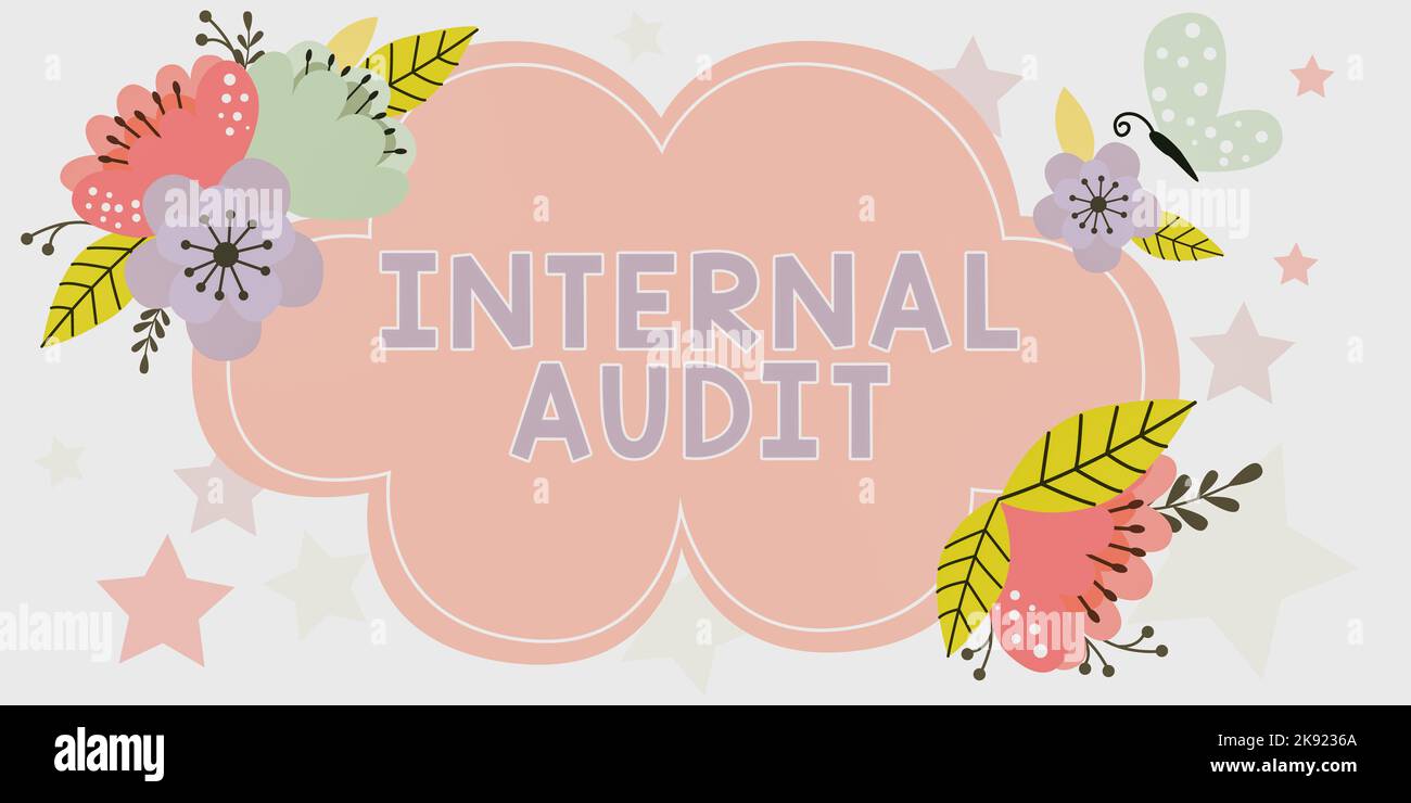 Text sign showing Internal Audit. Word Written on evaluates the ...