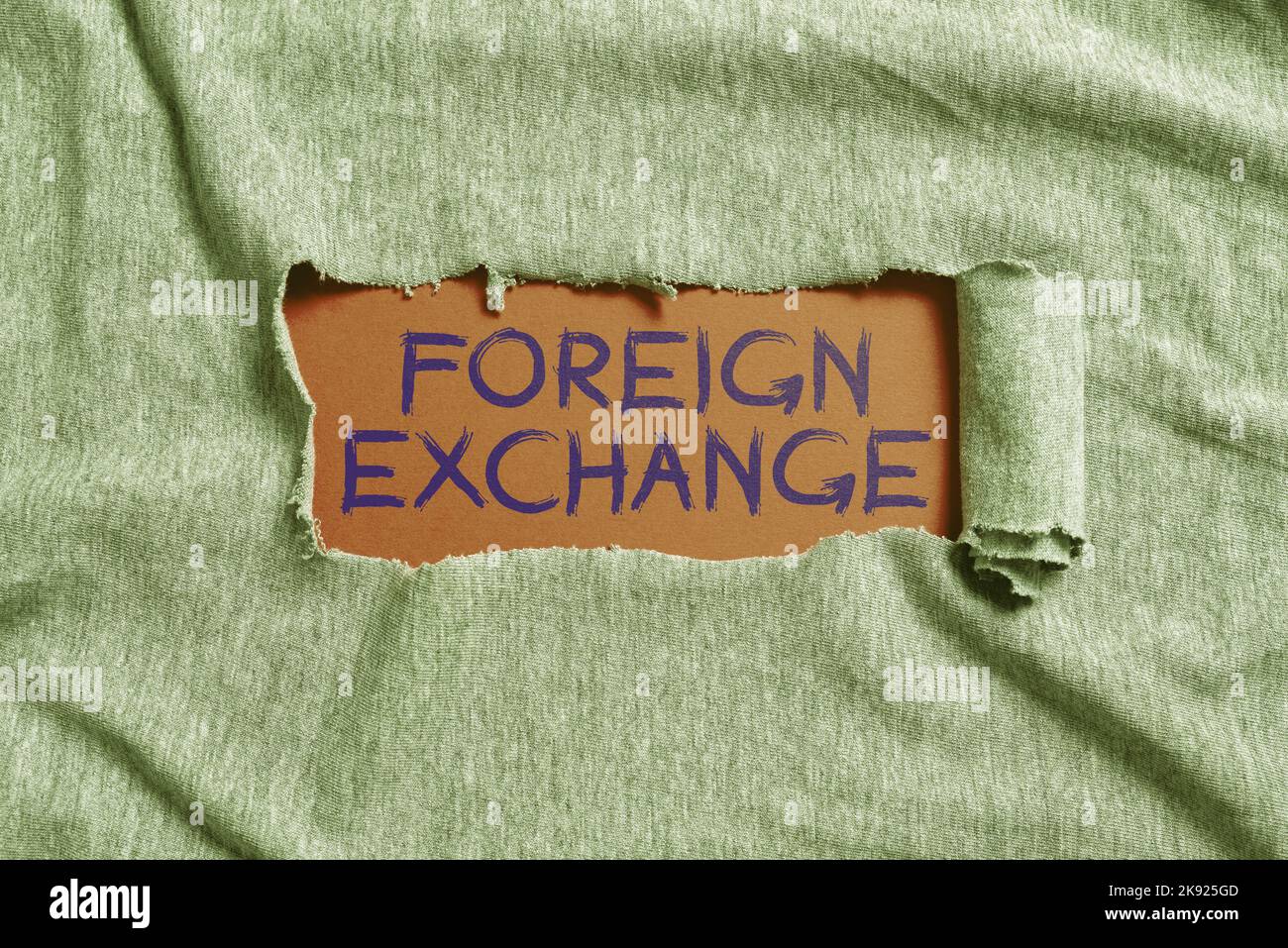 Text caption presenting Foreign Exchange. Internet Concept service that ...